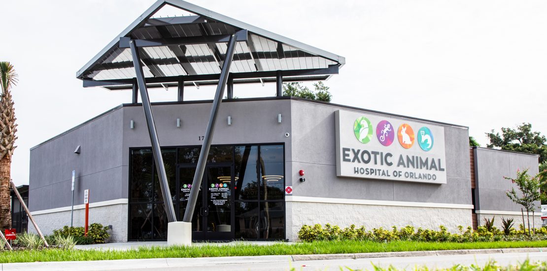 Exotic Animal Hospital of Orlando | Expert Exotic Vet & Pet Care